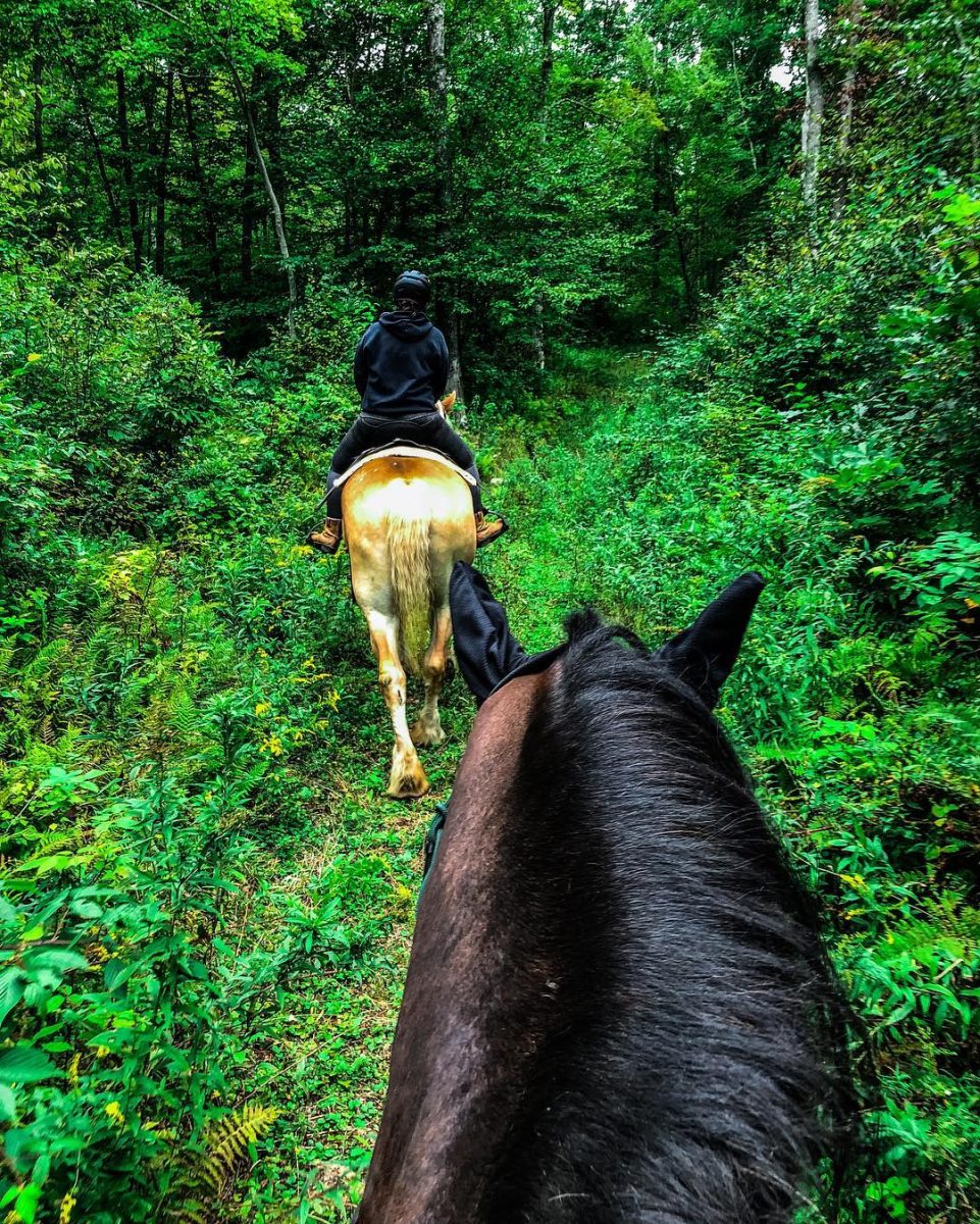 Safety Etiquette for Horseback Riders | CT Trails Program | In ...