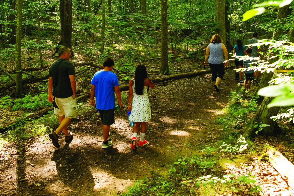 Colchester Area Regional Trail Map Guide | CT Trails Program